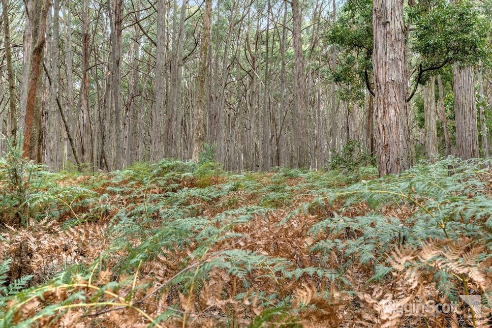 Biggin & Scott - Lot2A, 360 Long Swamp Road, Mollongghip 3352